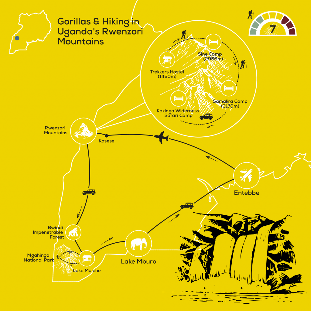 Uganda Gorrila Trekking | Rwenzori Mountain Gorillas & Hiking Tour ...