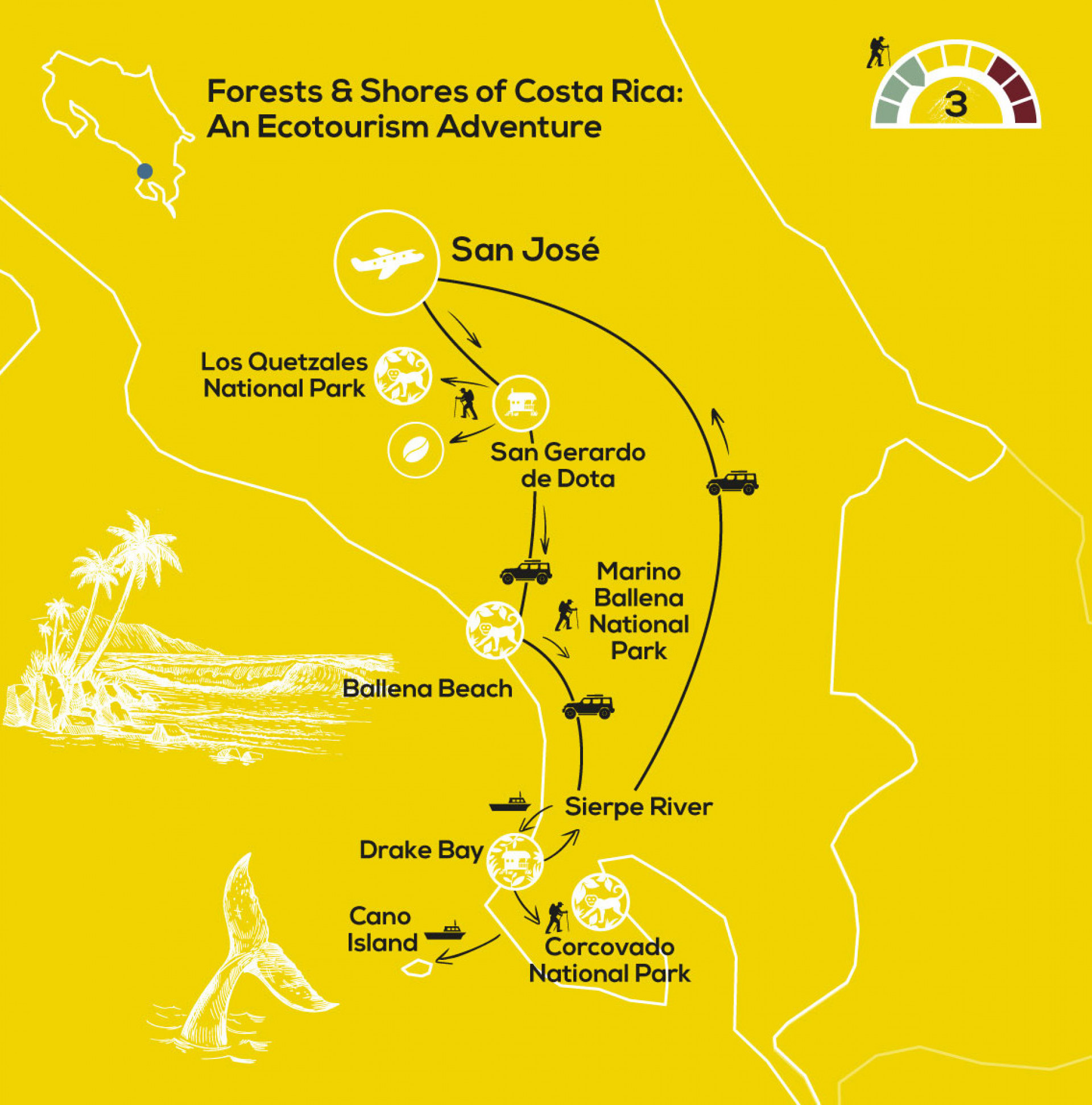 Costa Rica Ecotourism | Forests & Shores of Costa Rica - Yellow Wood ...