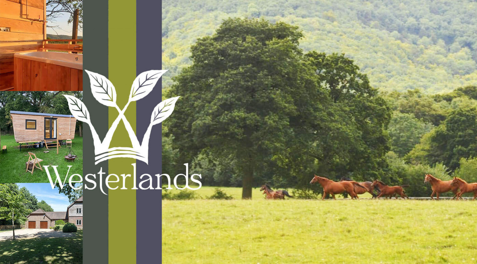 Sandrine's stay at Westerlands farm