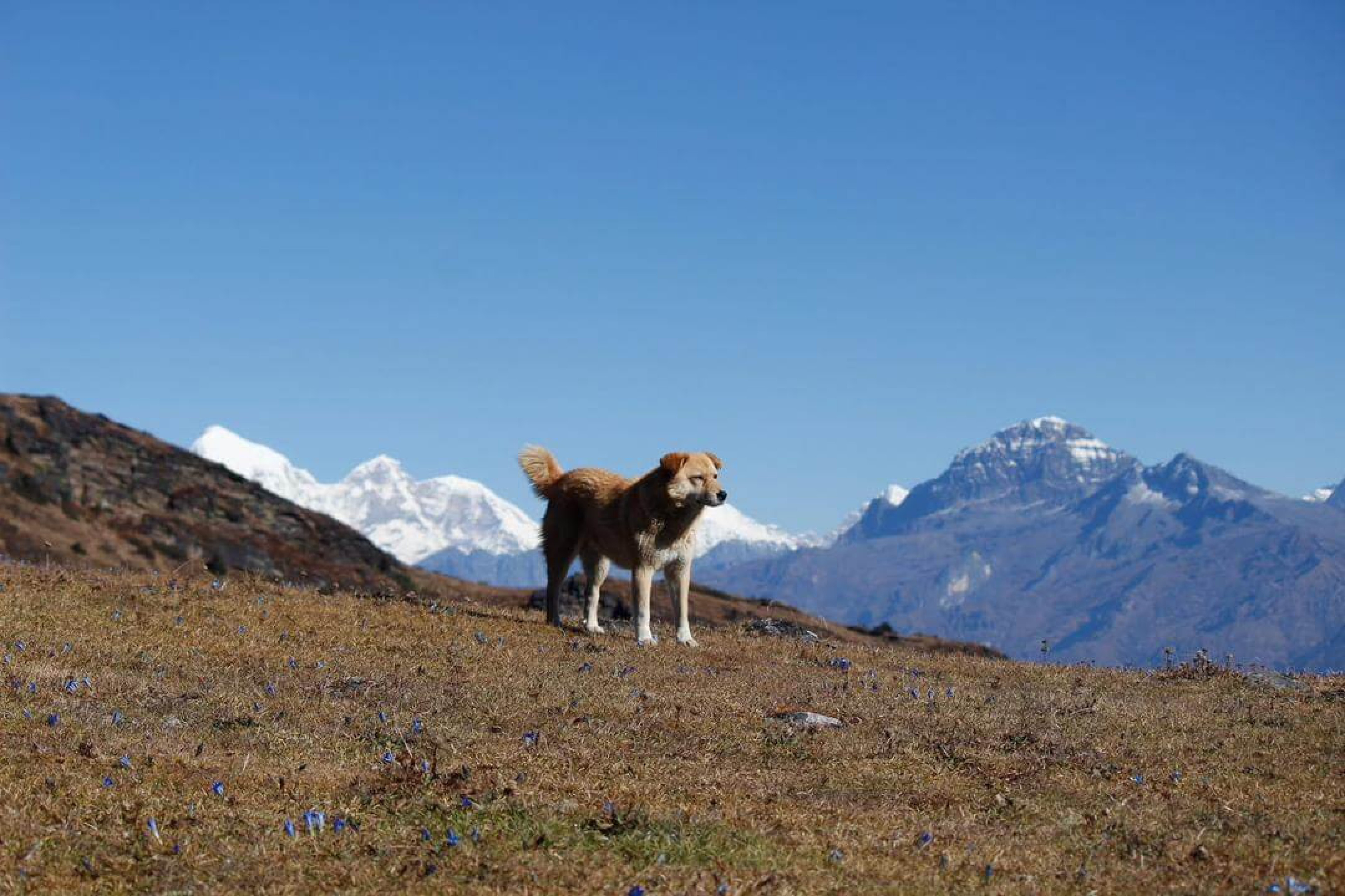 Bhutan's Haa Valley Add-on adventure