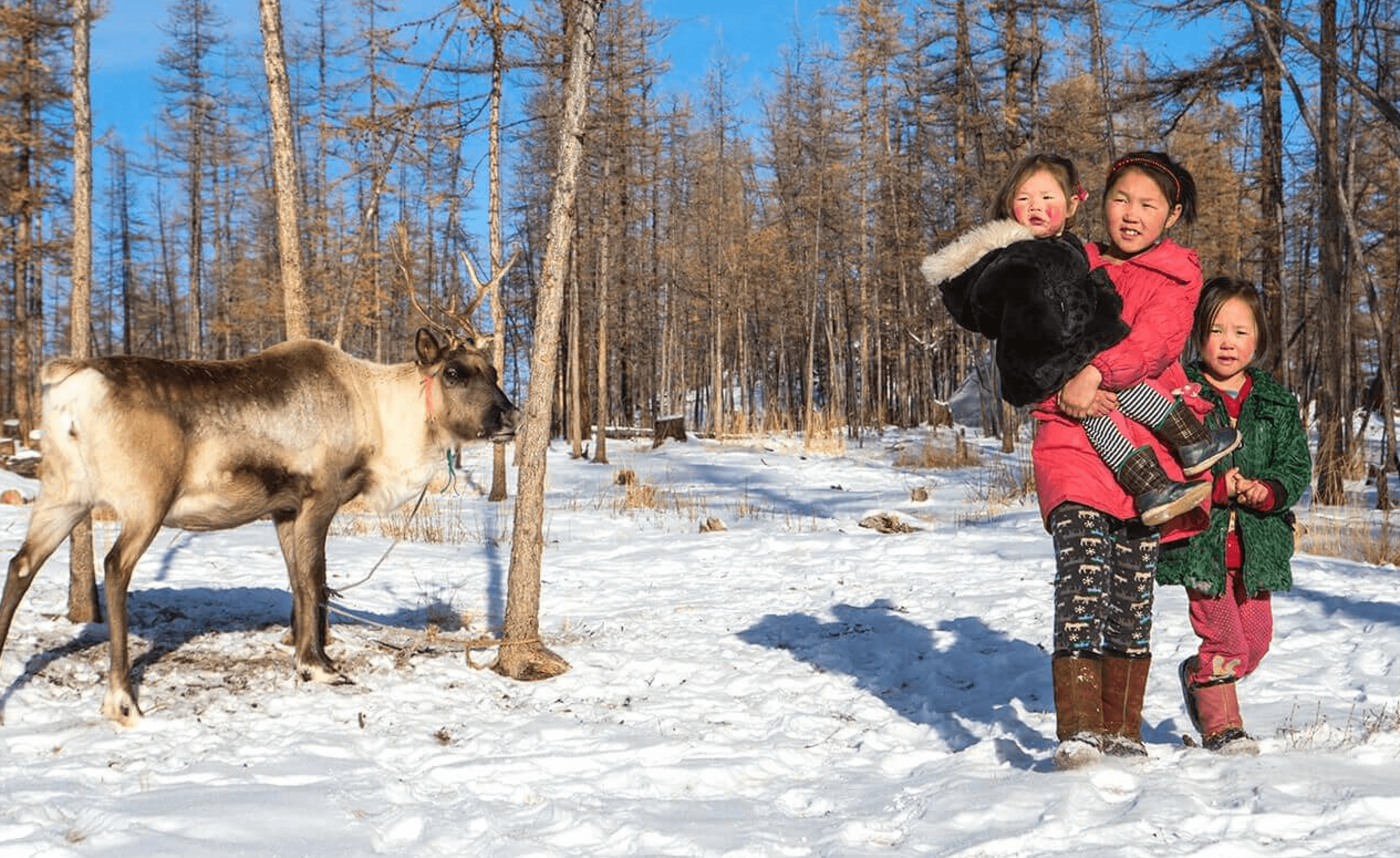 Tsaatan Tribe: The reindeer herders of Mongolia