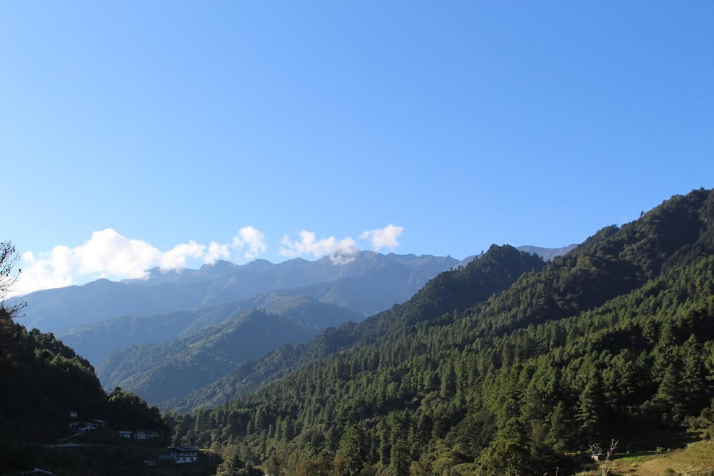 Bhutan Hiking Tour | Hiking Tour of the Trans Bhutan Trail - Yellow ...