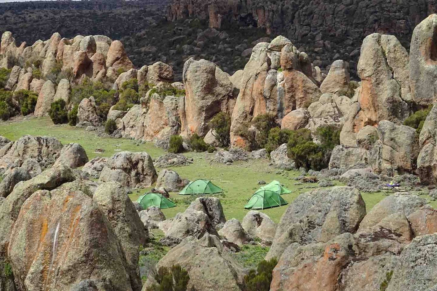 Trek Ethiopia's Spectacular Bale Mountains | Wildlife Tour