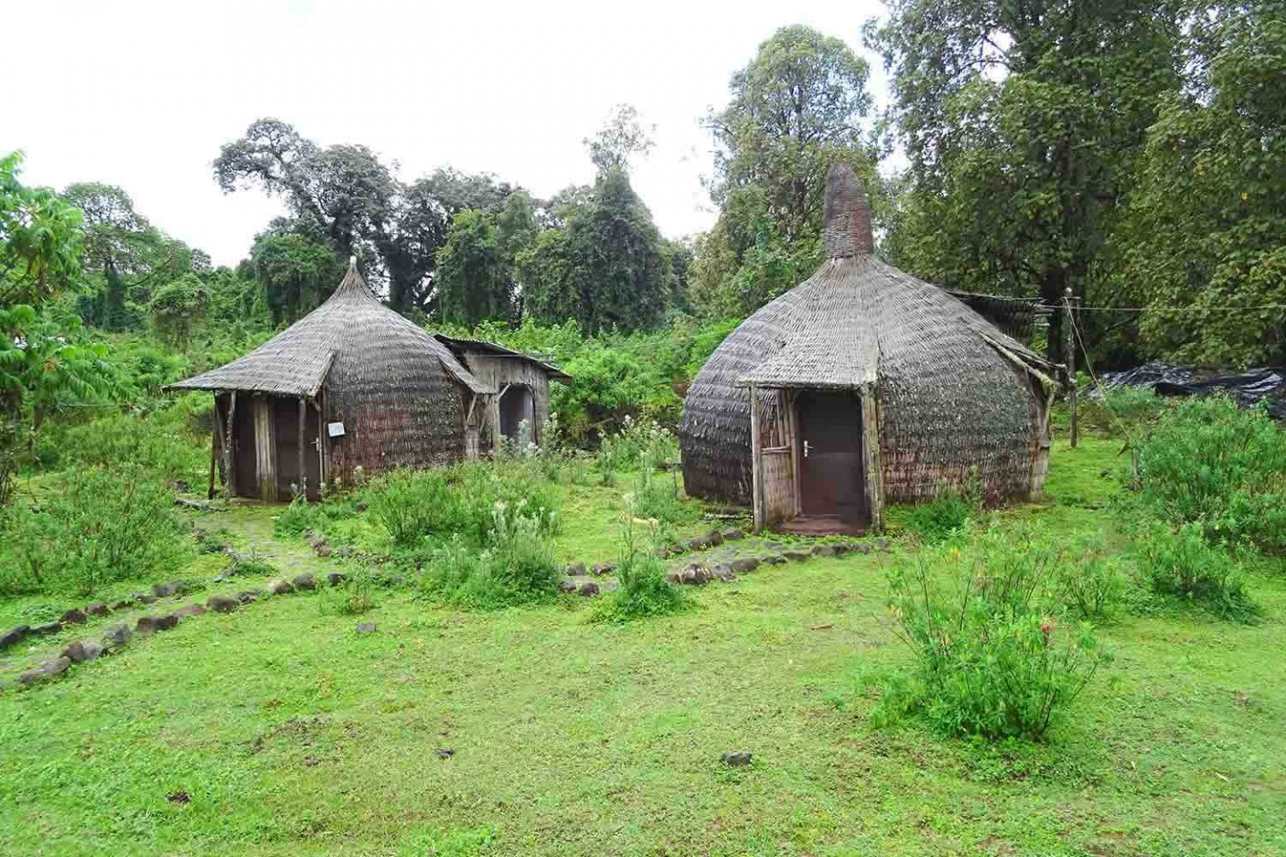 Trek Ethiopia's Spectacular Bale Mountains | Wildlife Tour