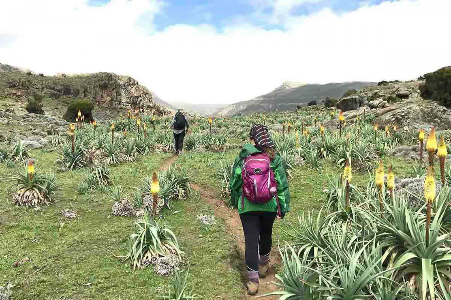 Trek Ethiopia's Spectacular Bale Mountains | Wildlife Tour
