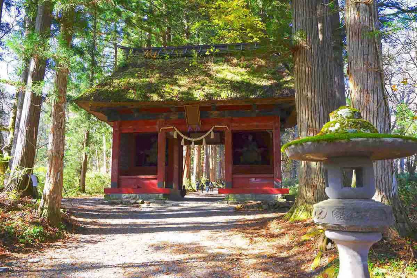 Japan Hiking Tour | Tradition & History on the Trails of the Japanese ...