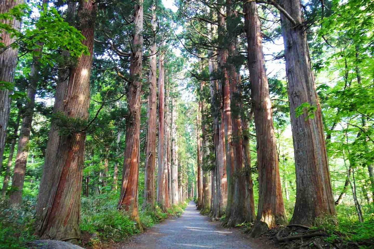 Japan Hiking Tour | Tradition & History on the Trails of the Japanese ...