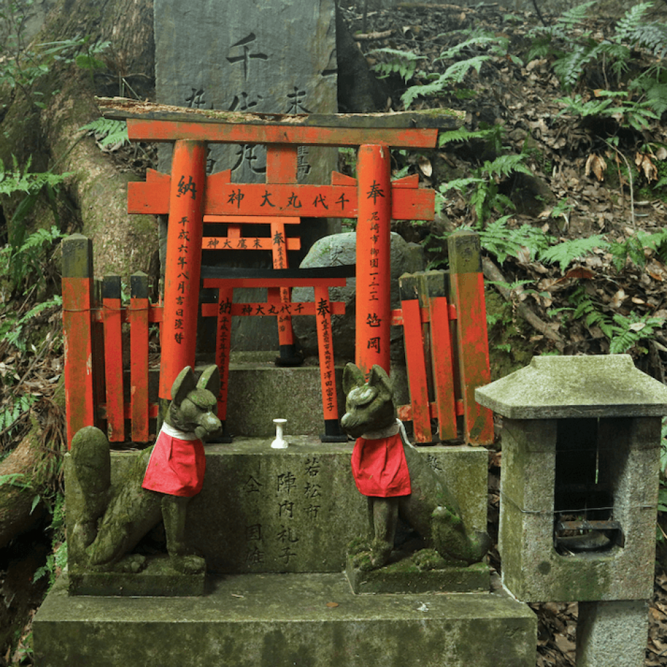 Japan Island Tour | Lost Islands of Japan Tour - Yellow Wood Adventures