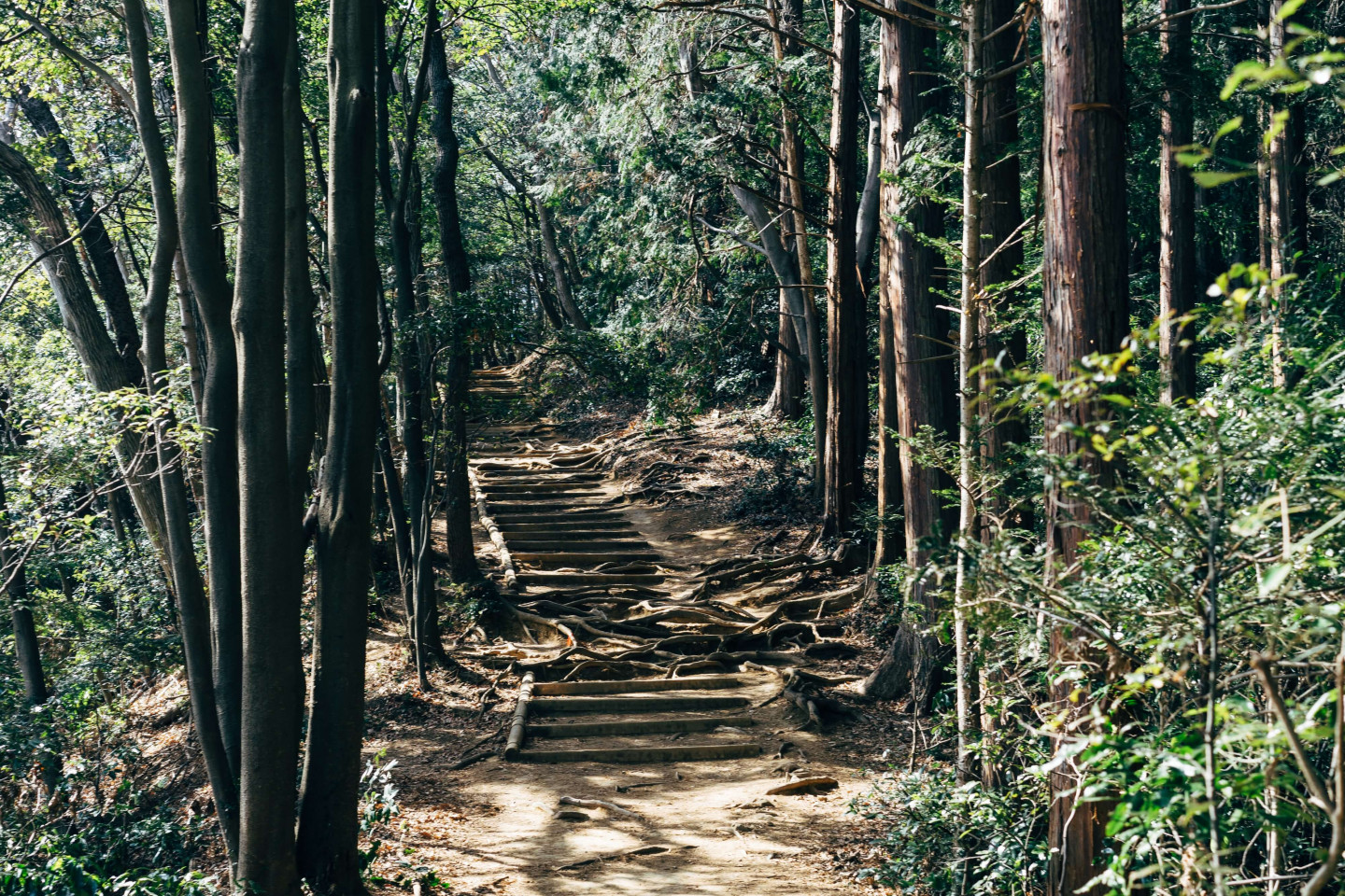 Japan Hiking Tour | Tradition & History on the Trails of the Japanese ...