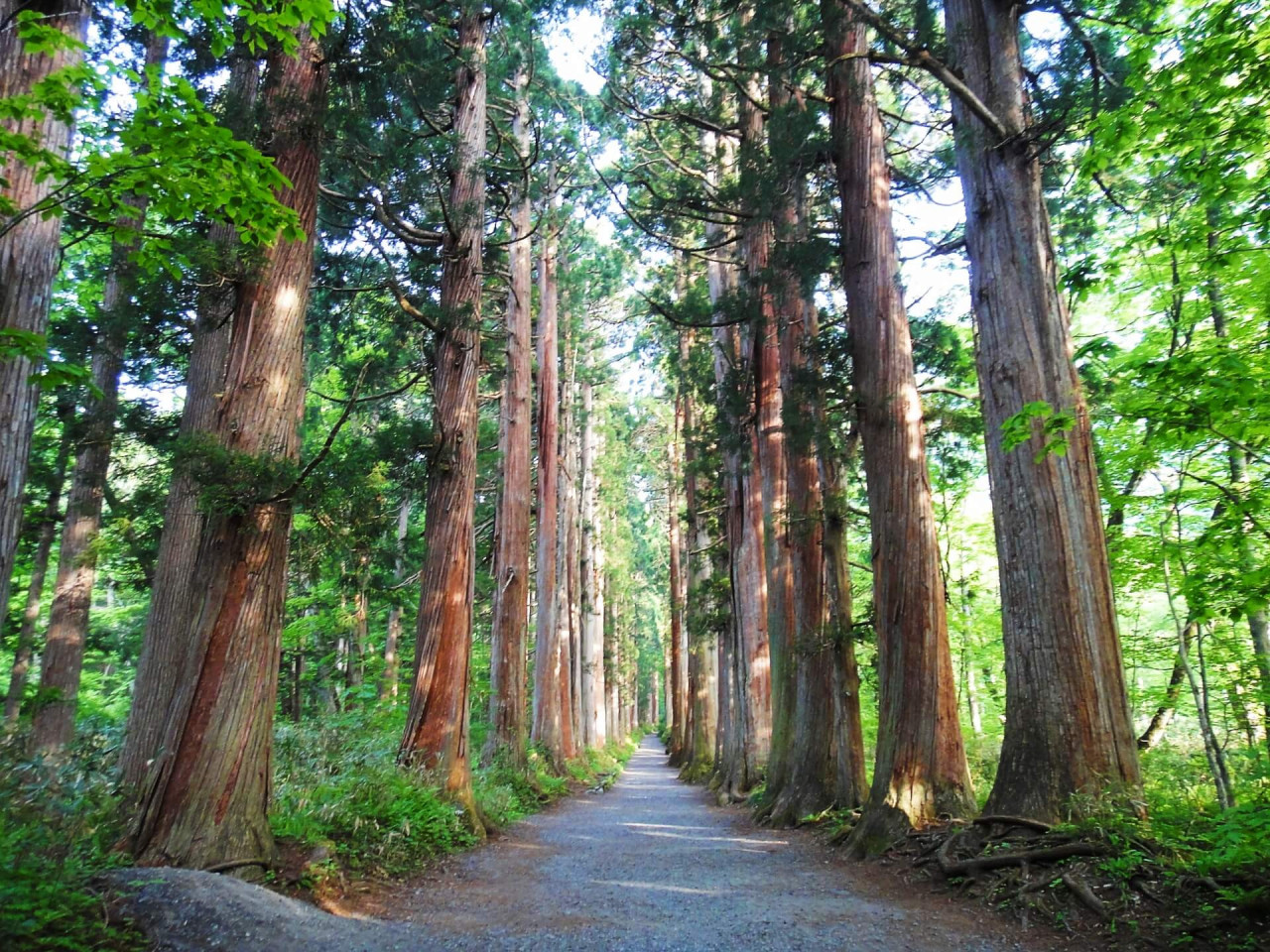 Japan Hiking Tour | Tradition & History on the Trails of the Japanese ...