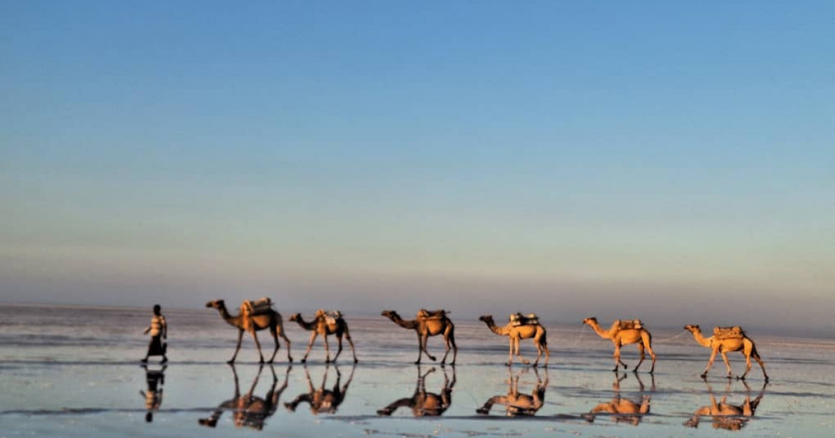 Joao's Ethiopian Danakil & Gheralta Genna Festival adventure