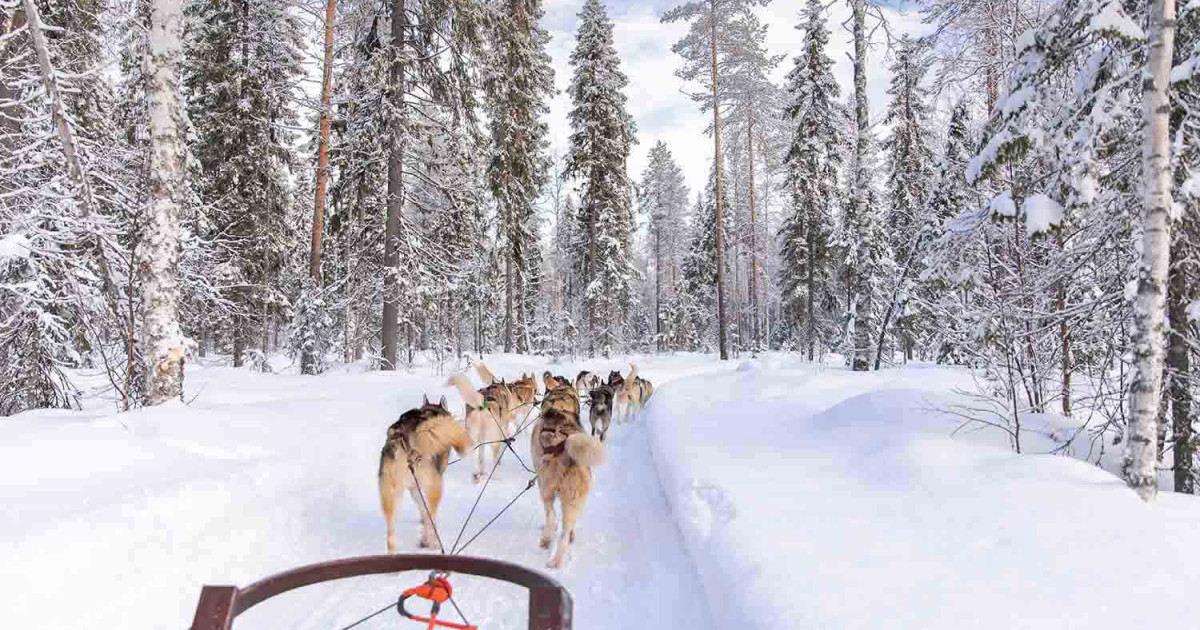 Lapland Adventure Holiday | A Winter Adventure Tour - Yellow Wood ...