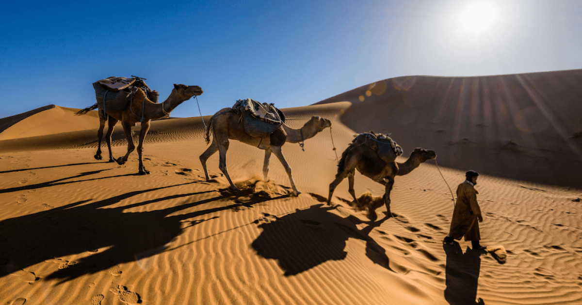 Wild Morocco Sahara Desert Adventure