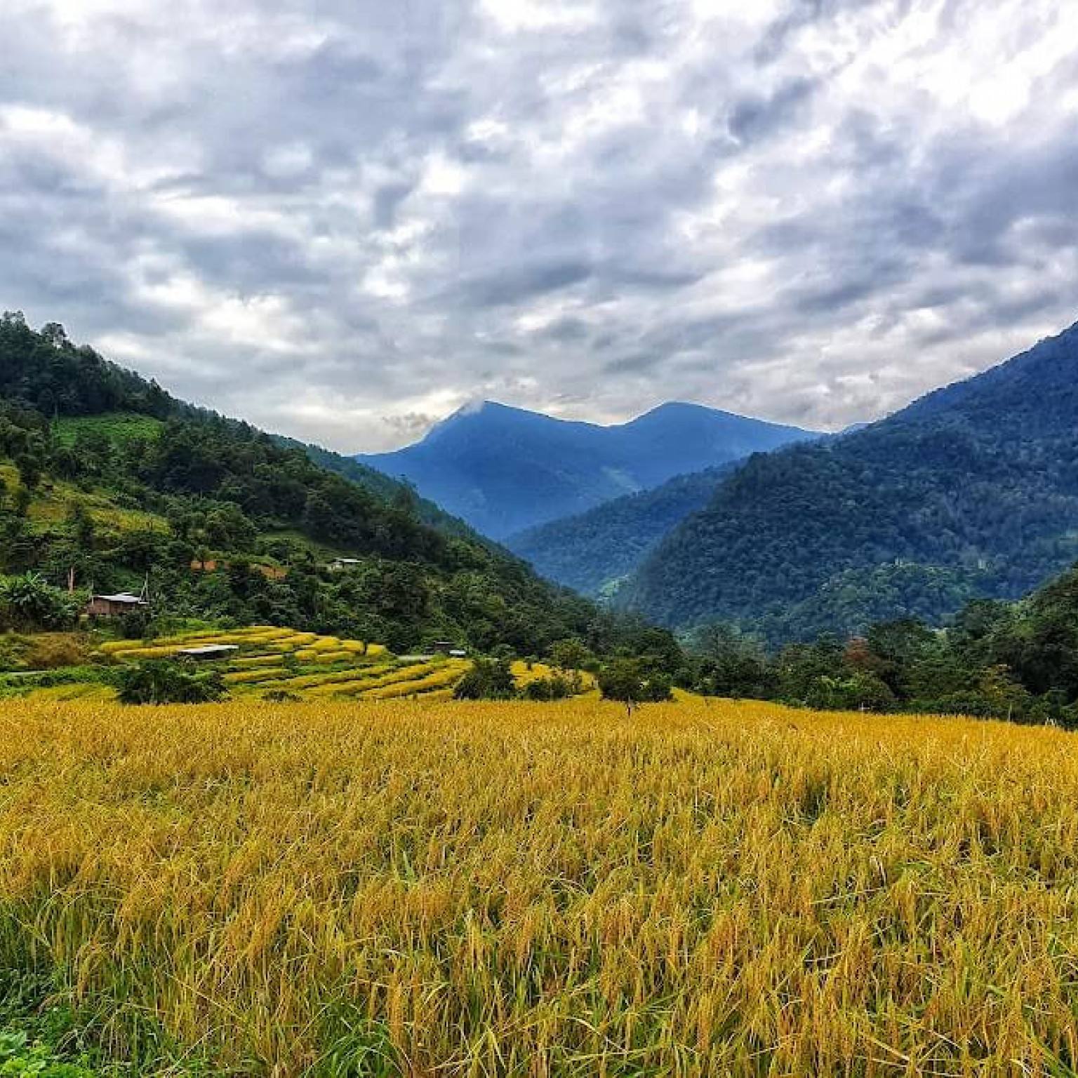 Bhutan Hiking Tour | Hiking Tour of the Trans Bhutan Trail - Yellow ...