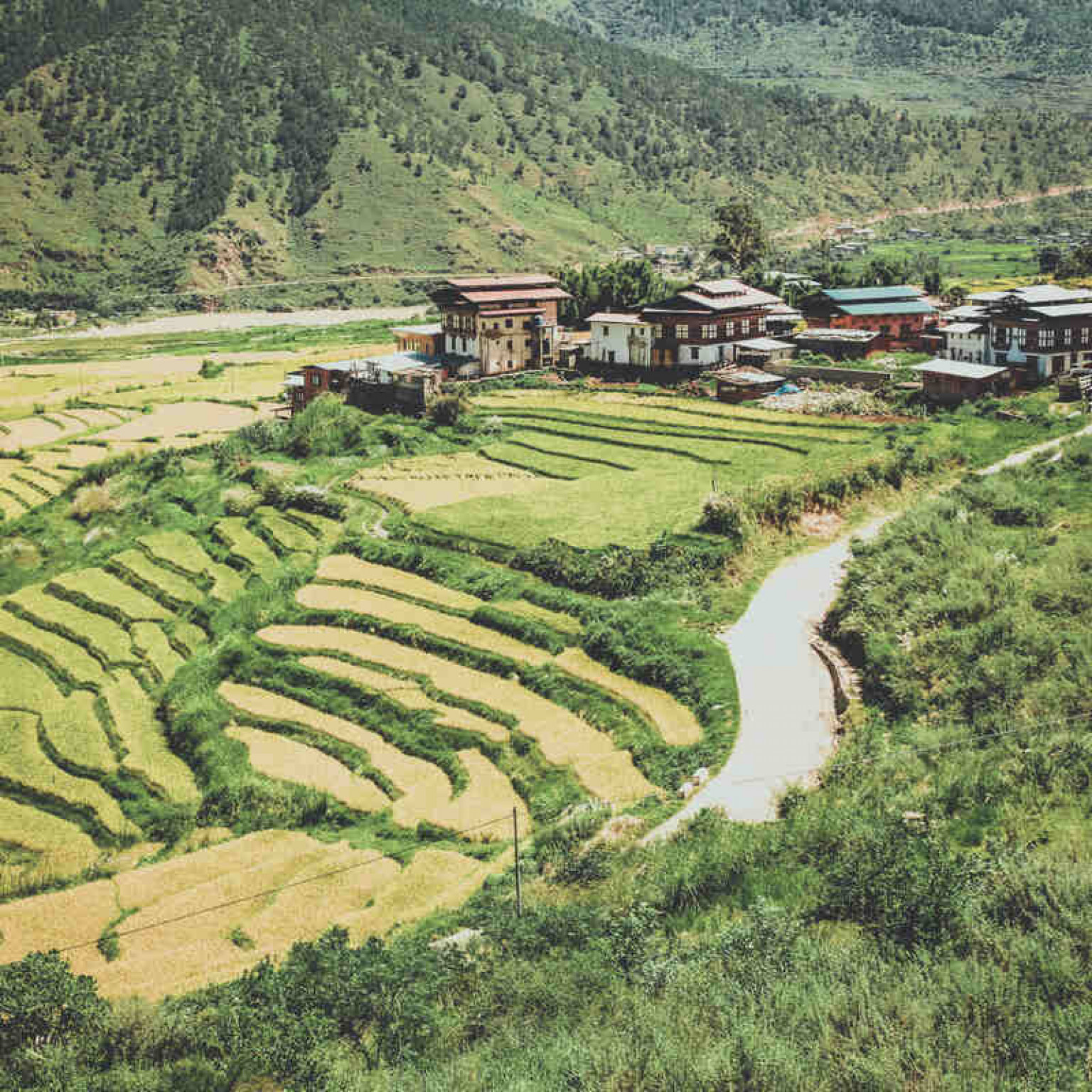 Trekking the Trans Bhutan Trail | Yellow Wood Adventures