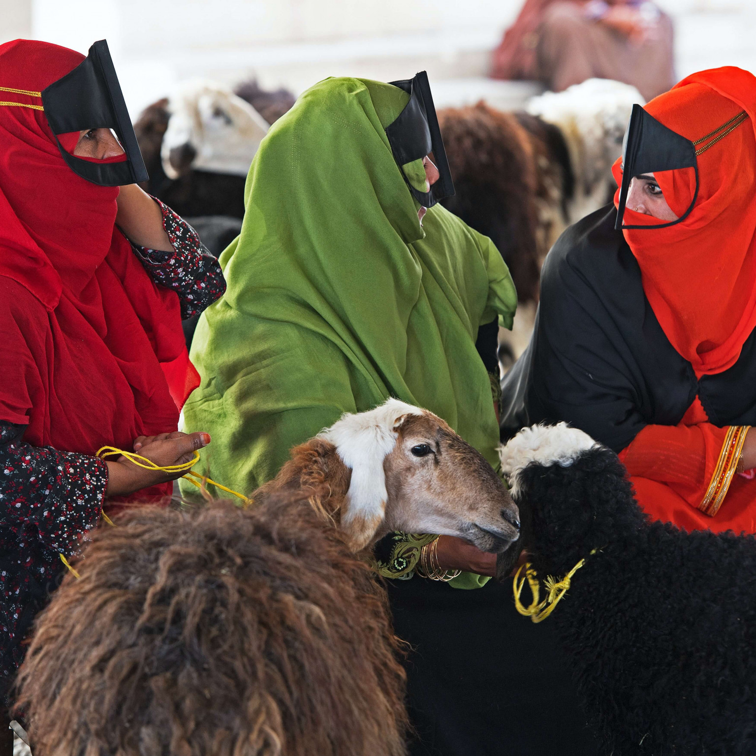 2023/24 Oman Adventure Holiday | People & Landscapes of Oman Guided ...