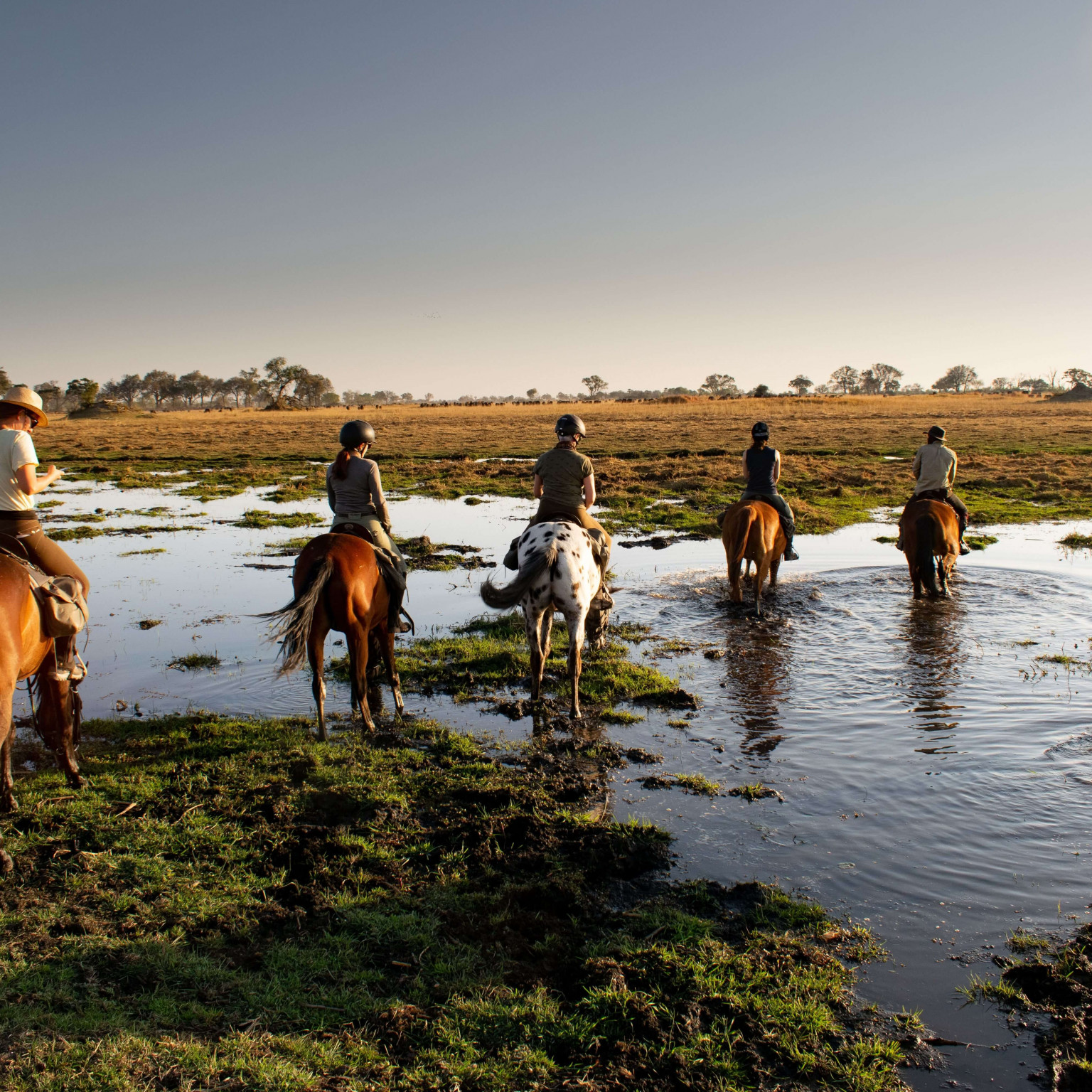 Okavango Delta Horse Riding Safari | Botswana Tour - Yellow Wood Adventures