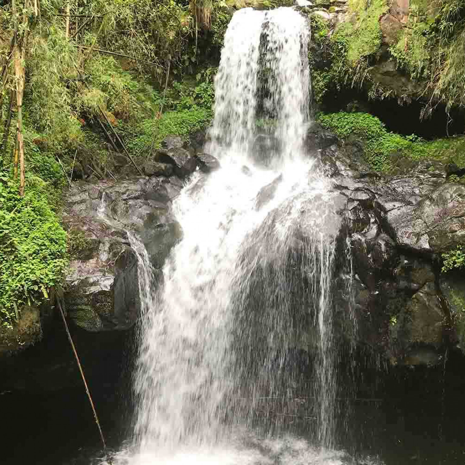 Trek Ethiopia's Spectacular Bale Mountains | Wildlife Tour