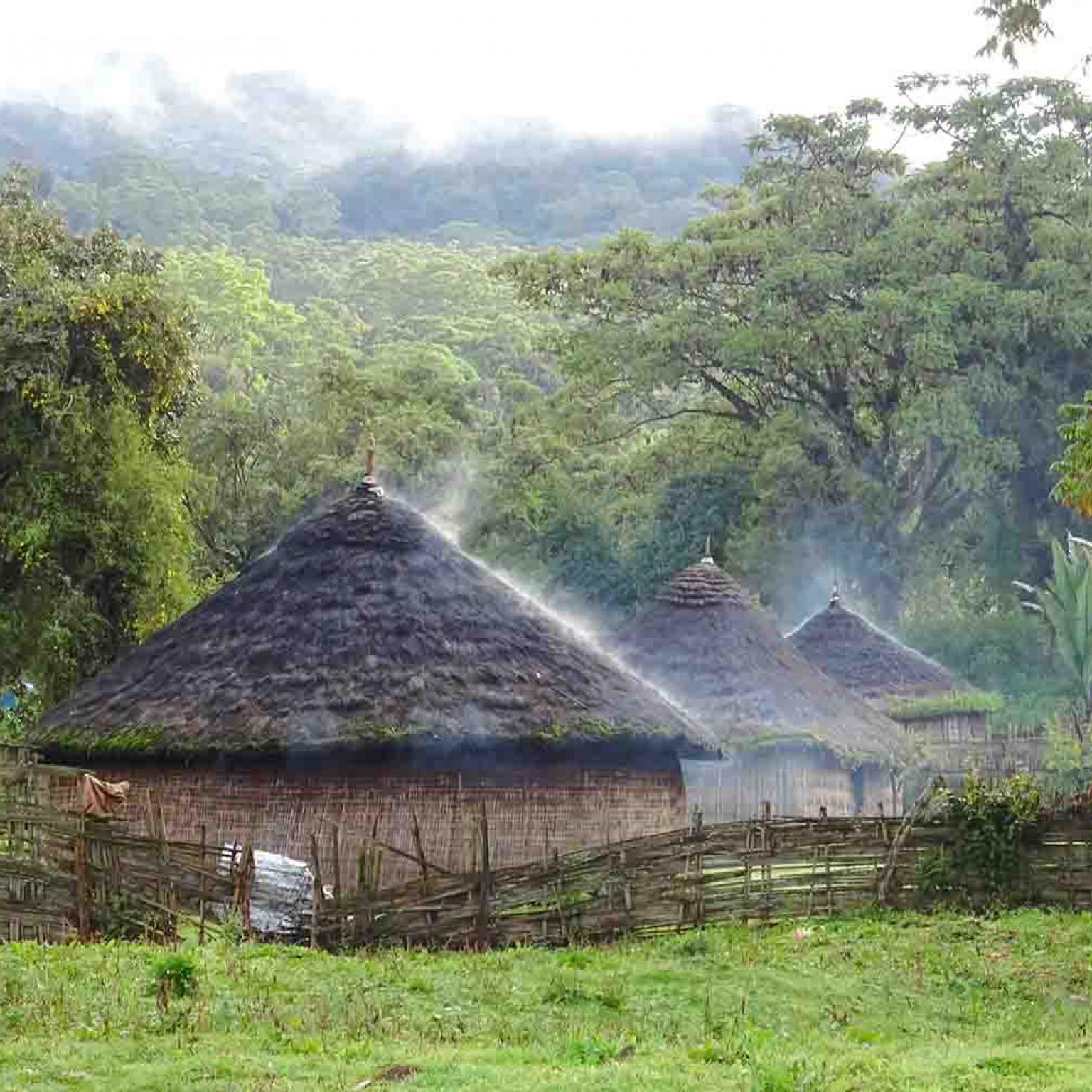 Trek Ethiopia's Spectacular Bale Mountains | Wildlife Tour