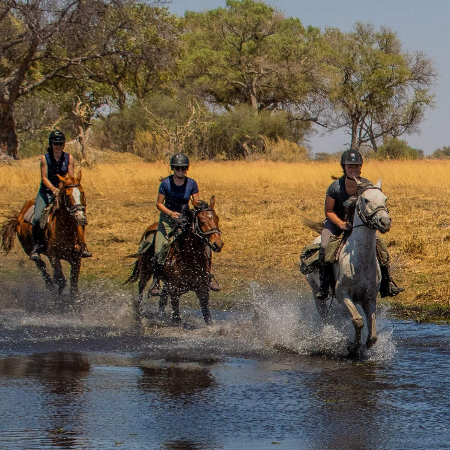 Okavango Delta Horse Riding Safari | Botswana Tour - Yellow Wood Adventures