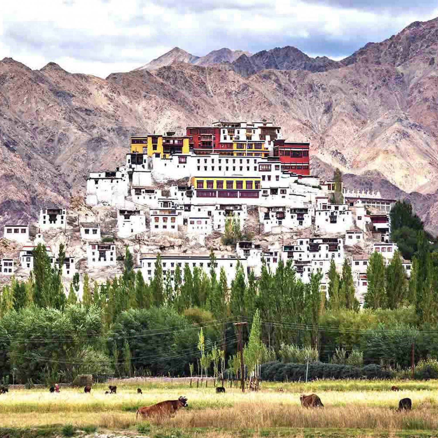 Ladakh Tour | Hiking the High Monasteries of 'Little Tibet'