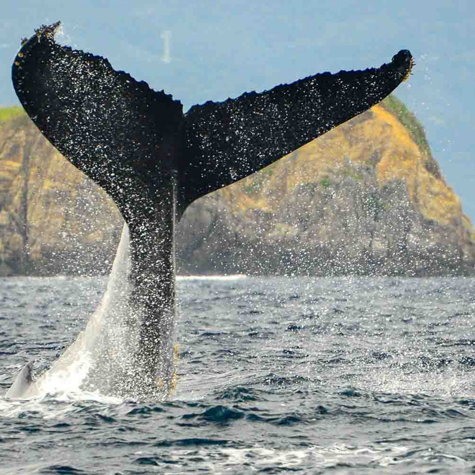Japan Island Tour | Lost Islands of Japan Tour - Yellow Wood Adventures