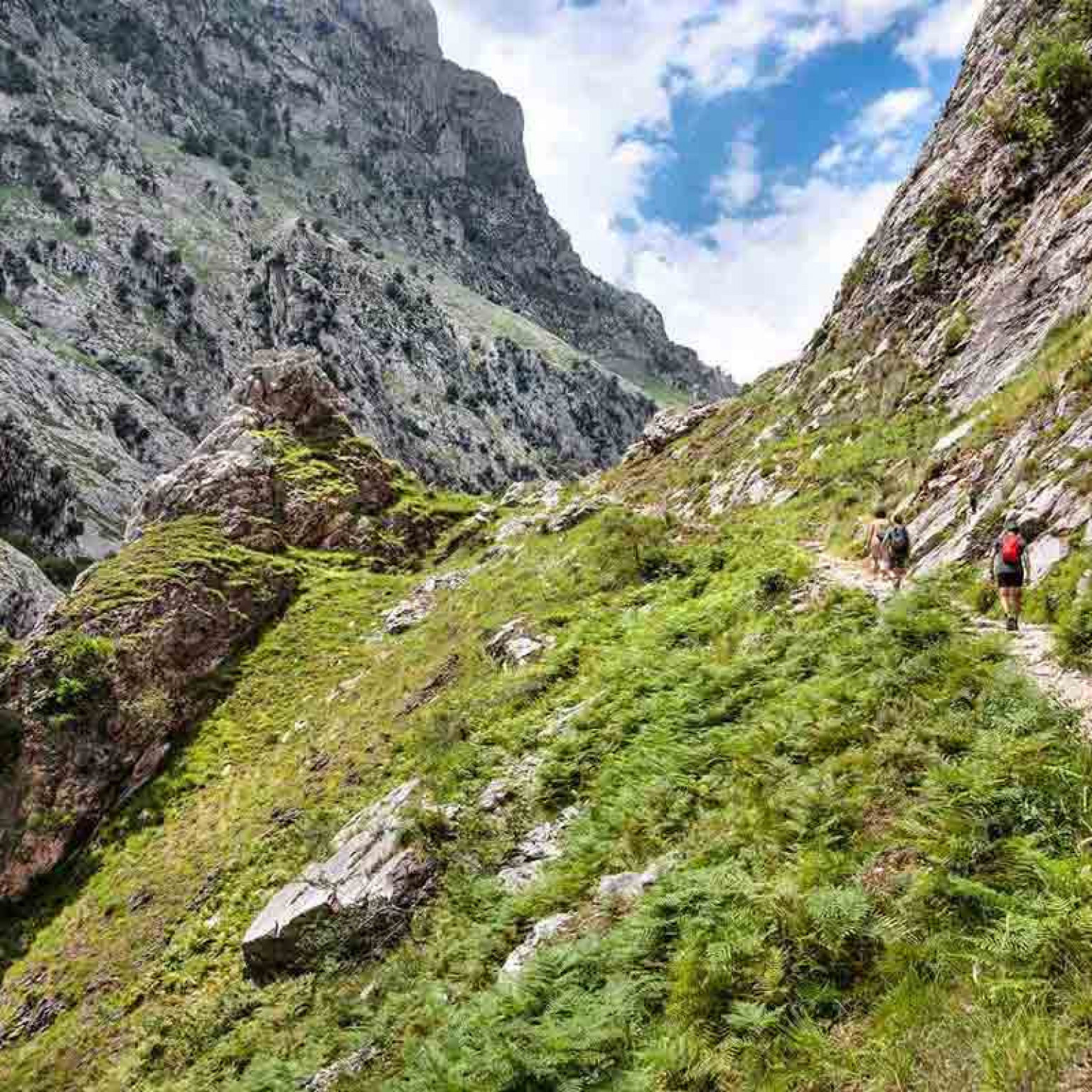 Spain Hiking Holiday | High Trails through the Picos de Europa - Yellow ...