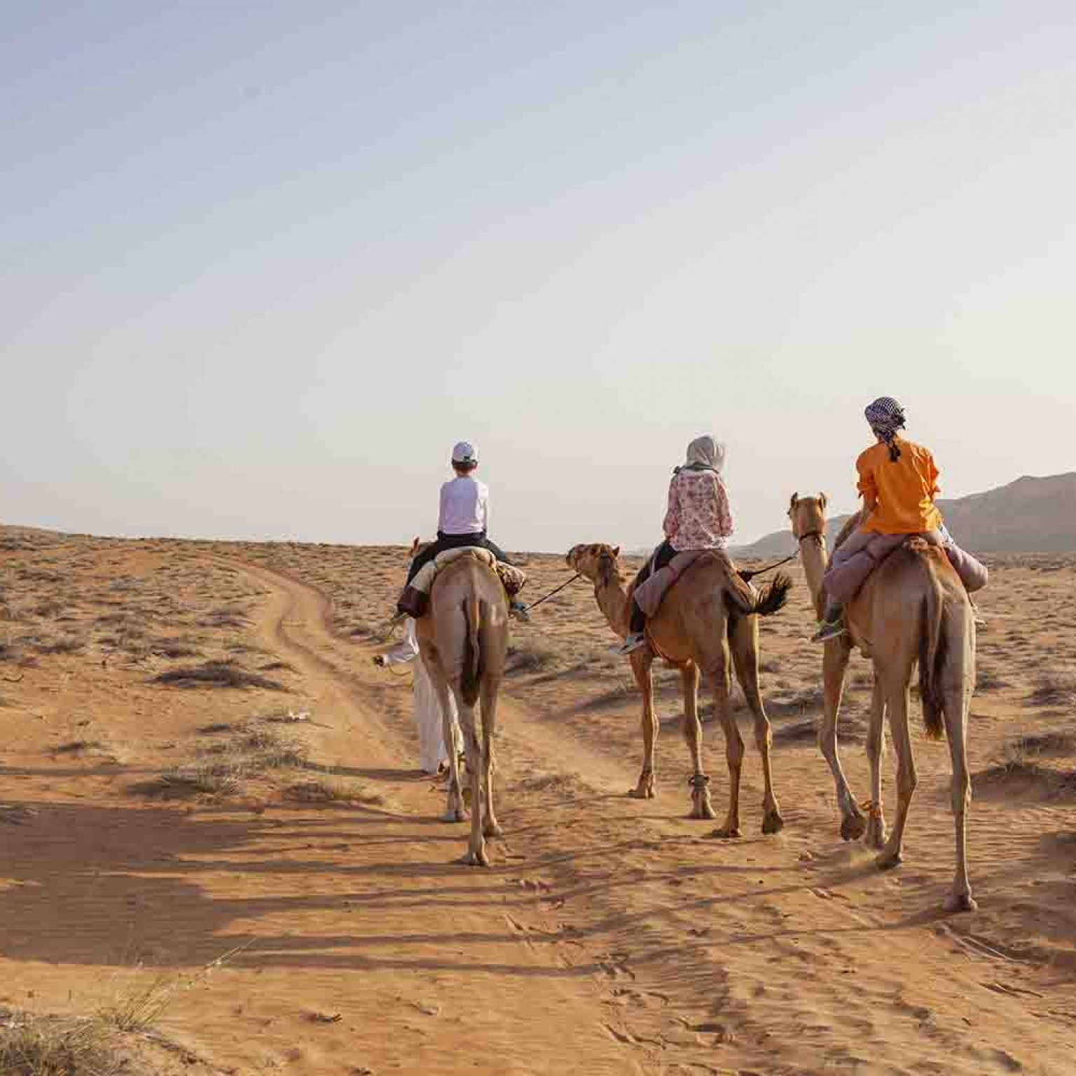 Authentic Oman tour | Path less travelled, away from crowds