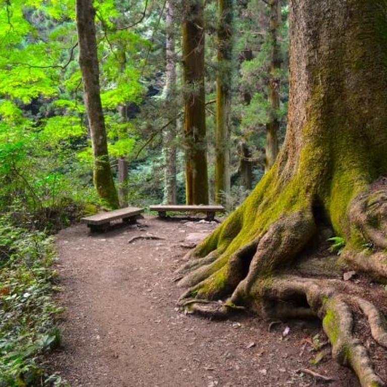 Japan Hiking Tour | Tradition & History on the Trails of the Japanese ...