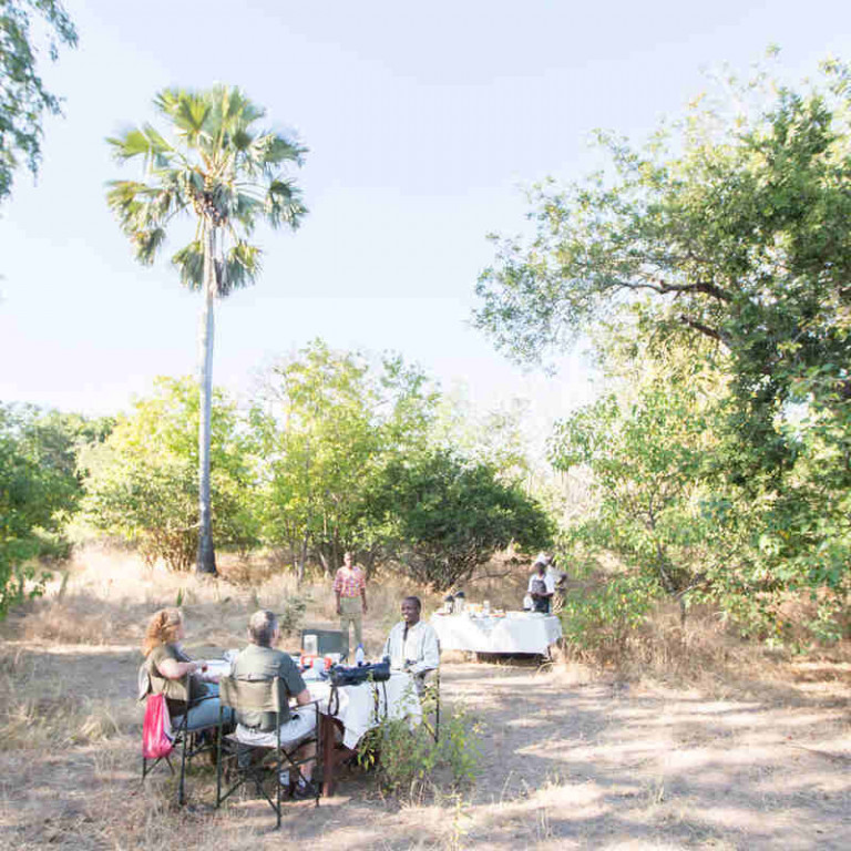 Conservation safaris & Lake Malawi