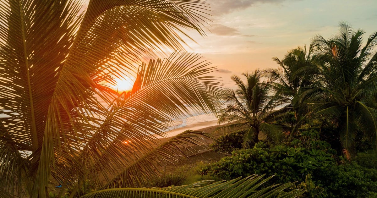 Costa Rica: A case study of ecotourism